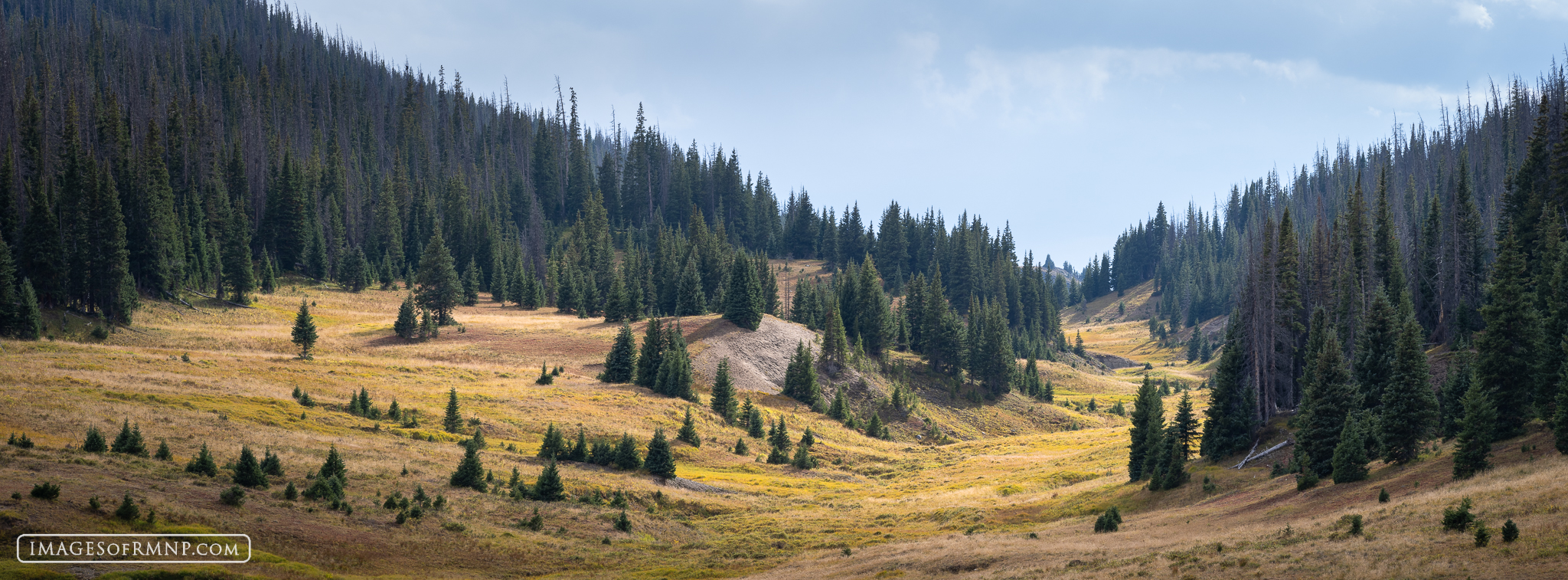 September 10, 2024 | Cache La Poudre Valley | Rocky Mountain National Park