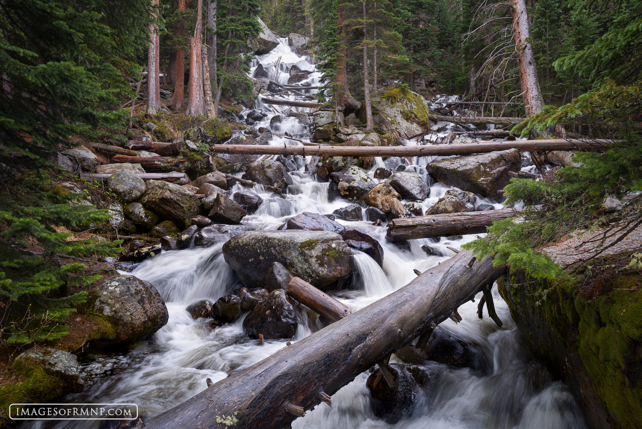 May 27, 2025 | Wild Basin | Rocky Mountain National Park