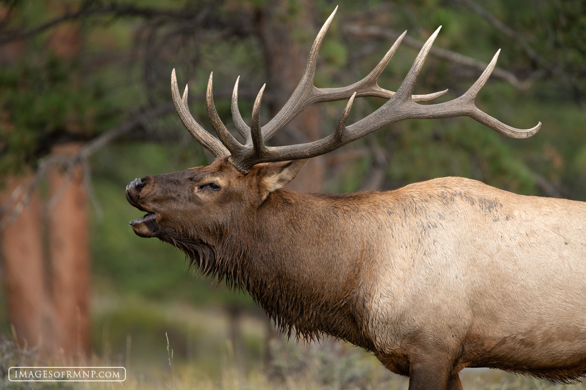 September 7, 2025 | Rocky Mountain National Park