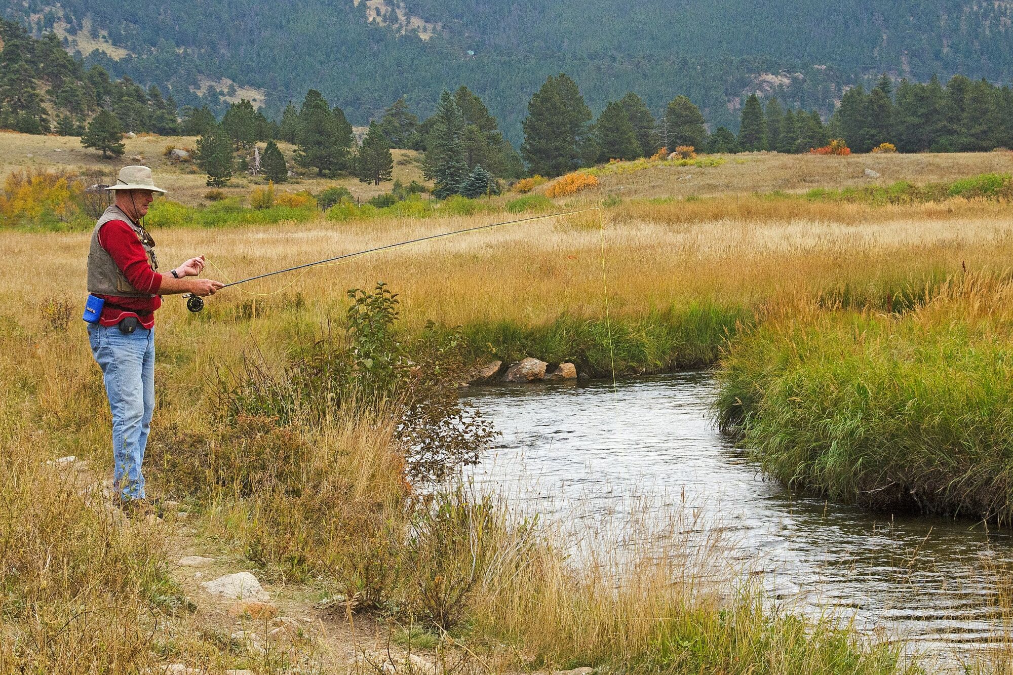 Virtual | Rocky Mountain National Park